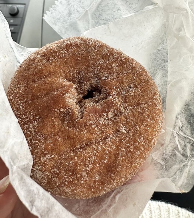 The apple cider donut: autumn's ambassador rolled in cinnamon sugar, bringing fall flavors to your taste buds year-round.