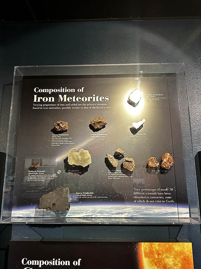 Space rocks on display! These meteorite samples are a geology buff's dream and a reminder that sometimes it's okay to take Earth for granite.