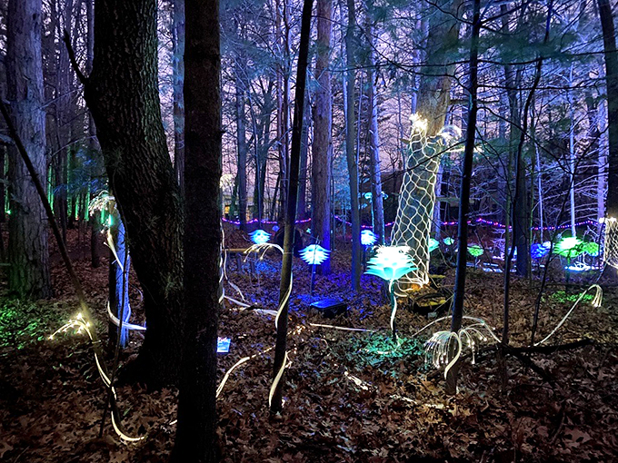 Avatar's got nothing on this! These ethereal plants seem ready to communicate with your inner tree-hugger through interpretive dance.