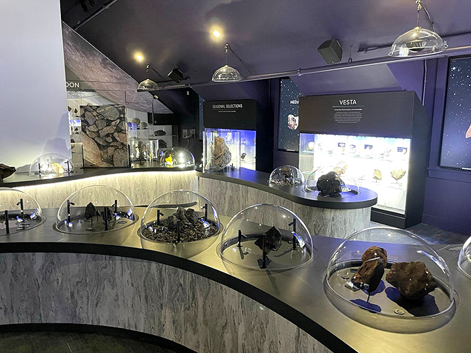 Space rocks that are out of this world &ndash; literally! These meteorites have traveled farther than your average frequent flyer.