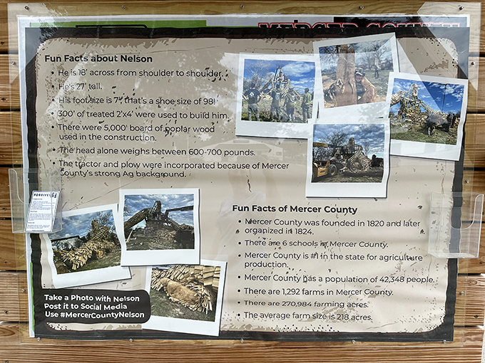 "Fun facts and Bigfoot? It's a match made in quirky heaven. Who knew education could be this entertaining?"