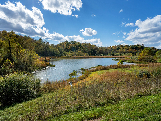 "Lakes, hills, and endless skies &ndash; Ohio's serving up a slice of paradise that would make Bob Ross reach for his paintbrush."
