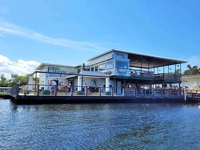 The Monkey Bar: where the drinks are cold, the view is hot, and the patrons are... well, on an island nearby.