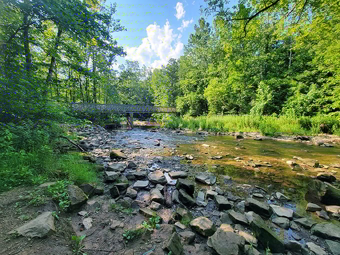 Serenity now! This tranquil stream is like nature's own stress-relief channel. Who needs meditation apps when you've got this?