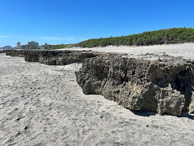 Talk about a rocky relationship! The ocean and these limestone cliffs have been going at it for thousands of years.