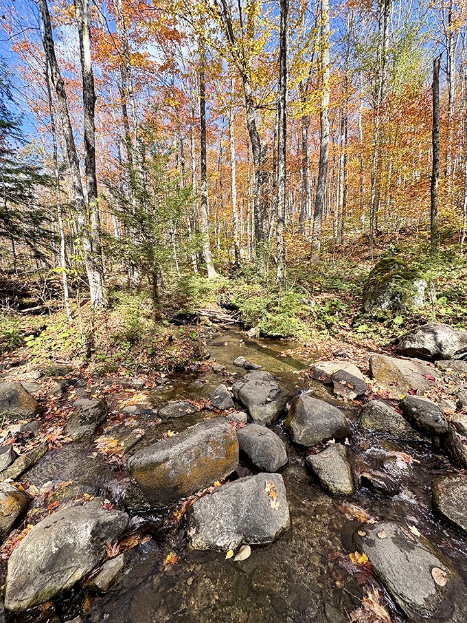 Nature's own rock garden: Where every stone tells a story and the water provides the soundtrack.