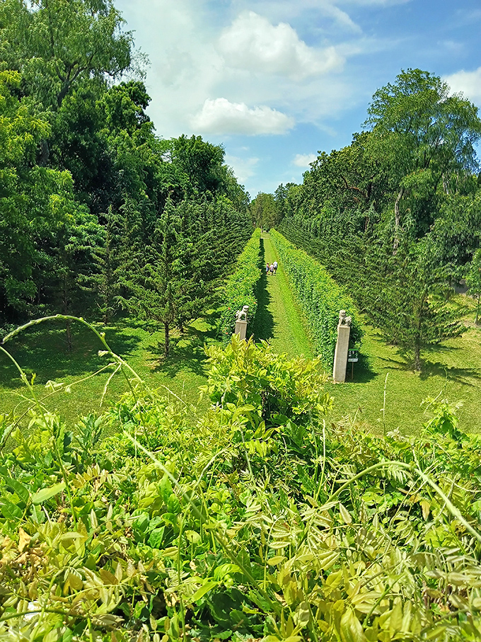 "Nature's calling, and these folks are answering! A merry band of explorers embarks on a woodland adventure. Indiana Jones, eat your heart out!"