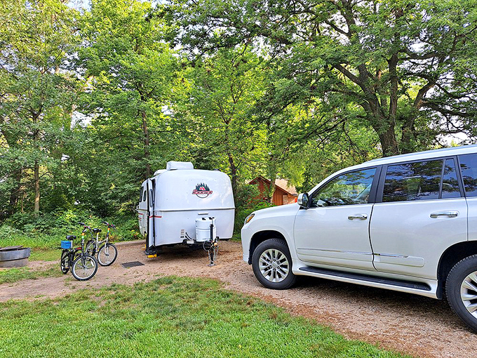 Glamping goals! Who needs a 5-star hotel when you can have a 5-billion-star view? Just watch out for snoring bison.