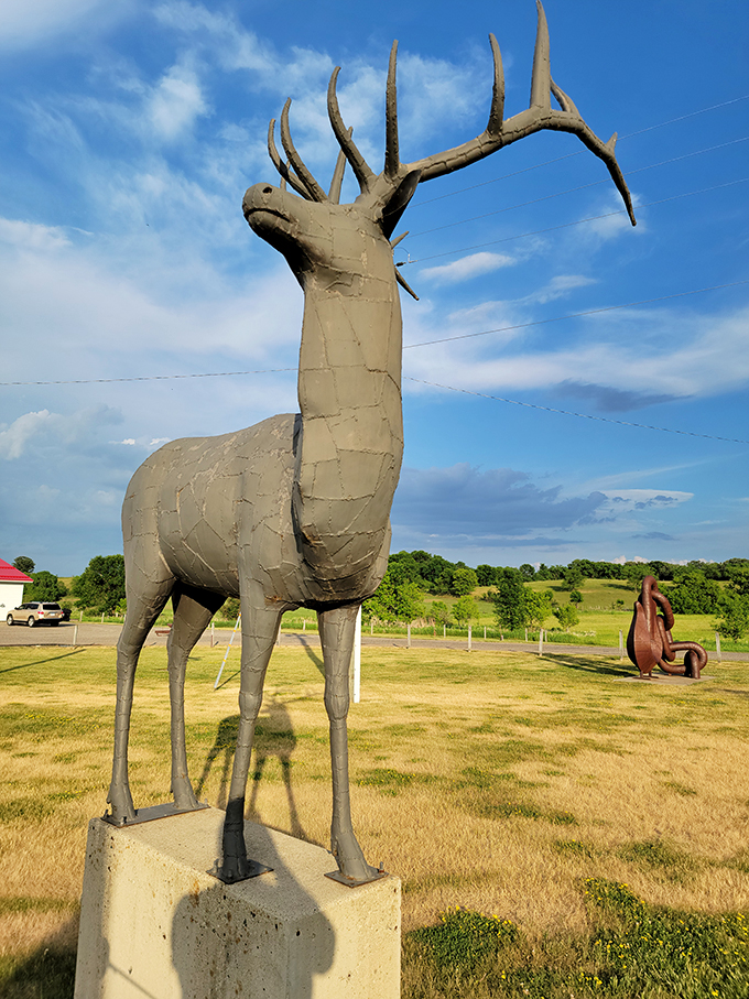 Oh deer, what do we have here? A statuesque stag that would make Bambi do a double-take. Talk about putting the 'awe' in awesome!