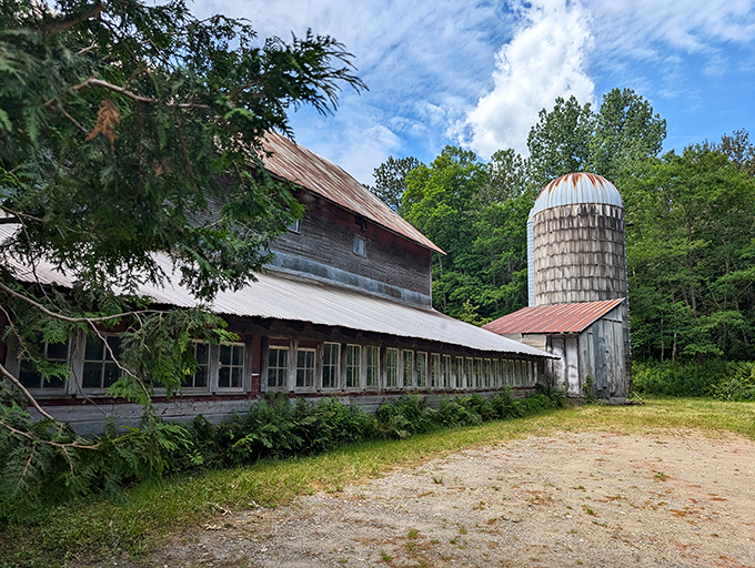 Old MacDonald had a farm, but this place has a picturesque mill! It's like stepping into a pastoral painting &ndash; just don't expect any eieio's.