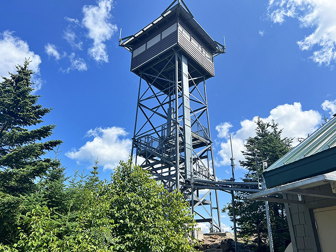 This tower's got 99 problems, but a view ain't one! Climb up for a bird's-eye perspective that'll leave you breathless.