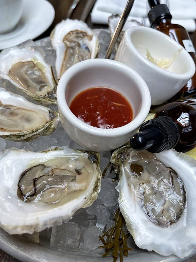 Oysters so fresh, you can practically hear the ocean! These briny beauties are like nature's shot glasses, filled with pure maritime bliss.
