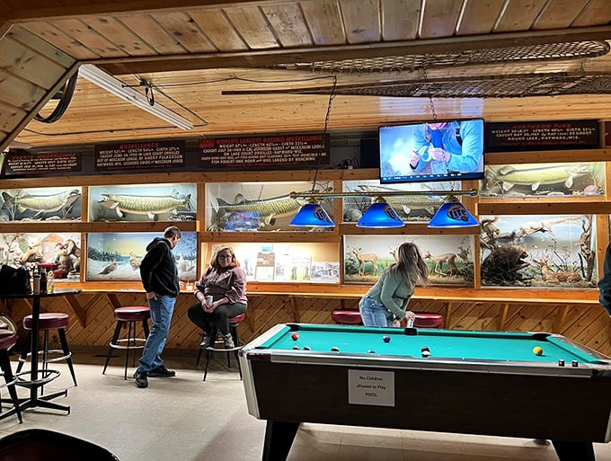 Rack 'em up and watch your aim &ndash; these spectators have been known to stare. It's like playing pool in the world's coziest natural history exhibit.