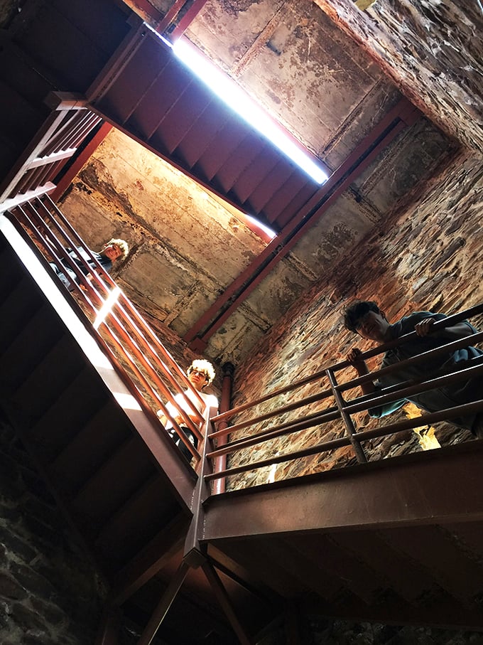 Climbing to new heights: These adventurers are one step closer to touching the sky. Who needs elevators when you've got determination?