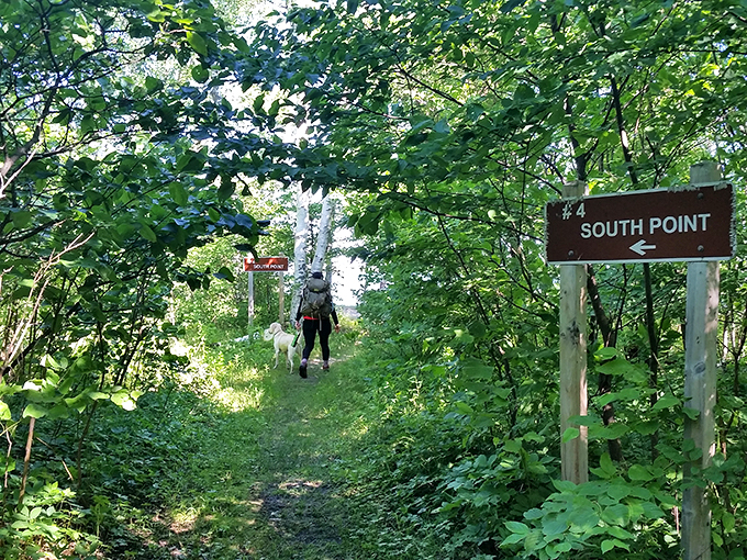 Who let the dogs out? Negwegon did! Fido's tail will wag with joy on these pet-friendly paths through Michigan's natural wonderland.
