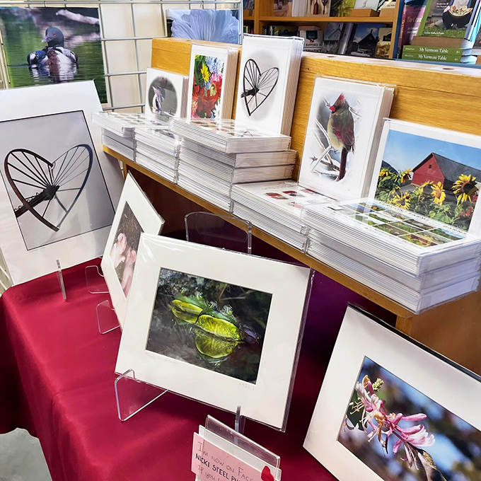 Who needs Netflix when you've got nature's own picture show? These frames capture Vermont's beauty, proving that sometimes the best stories are right outside our window.