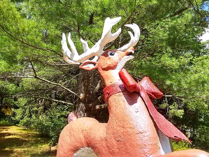 Rudolf, is that you? This festive reindeer statue stands proud, ready to guide Santa's sleigh (or pose for countless selfies).