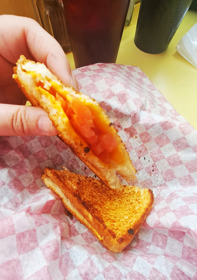 Grilled cheese perfection! So gooey, it could star in its own slow-motion food commercial.