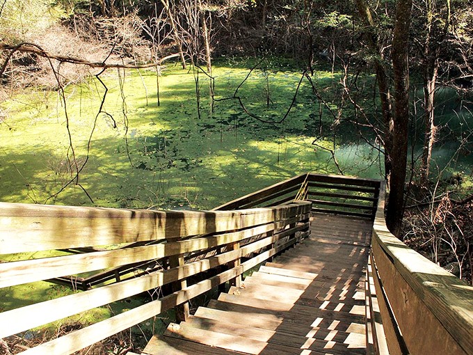 Nature's own amphitheater, where the rocks put on a show that's been running longer than 'The Simpsons'!