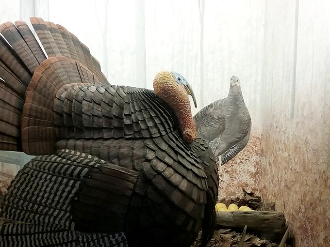 A wild turkey carved with such detail, even Benjamin Franklin would approve of this Thanksgiving-worthy masterpiece.