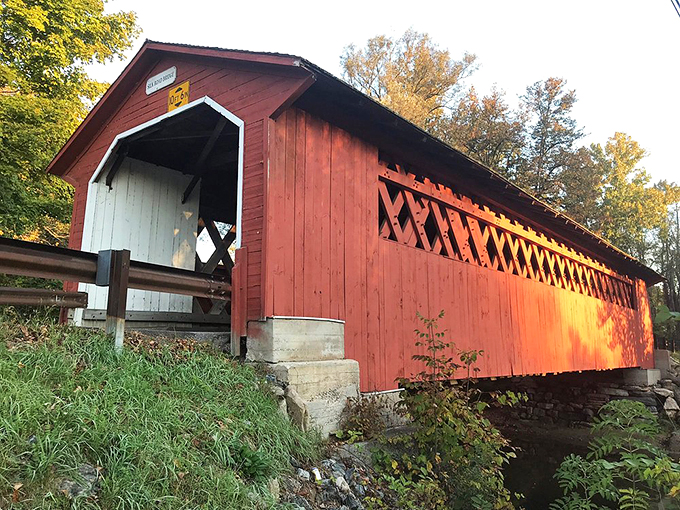 Who needs a babbling brook when you've got this picturesque scene? It's like Mother Nature's own ASMR video.