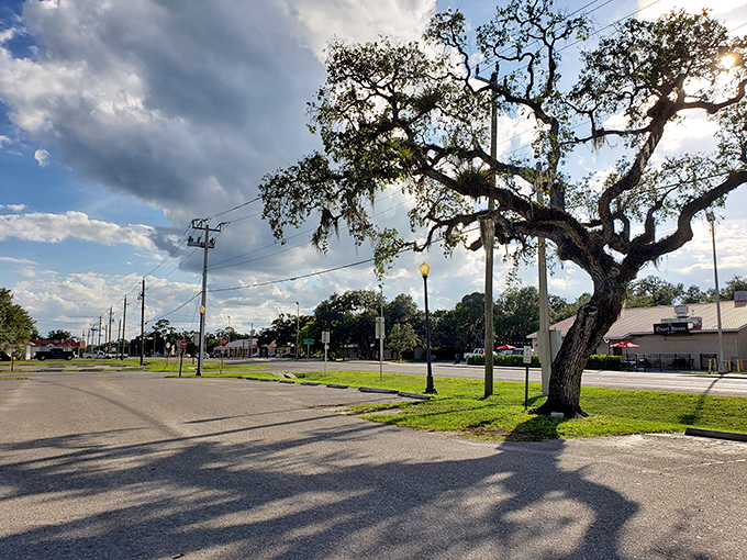 LaBelle's skyline: Where the tallest structure is usually a century-old oak tree. Who needs skyscrapers when you've got natural beauty?