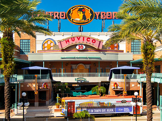 Tampa's Riverwalk: Where pirate ships and Santa's sleigh might just cross paths. This twinkling wonderland is a feast for the eyes.
