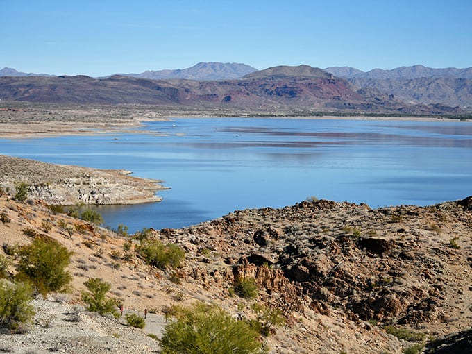 Alamo Lake State Park: So remote, your GPS might start questioning its life choices. Trust us, it's worth it.