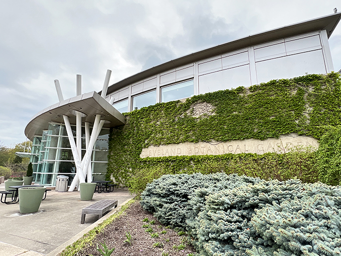 Navigate to nature's playground! This garden is your one-stop shop for global greenery, no passport required.