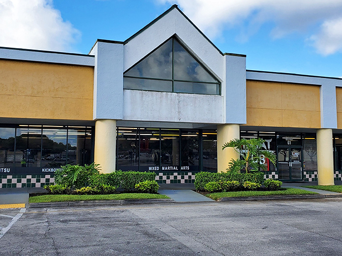 Combat Club: Where you can channel your inner action star without the risk of property damage. Bruce Lee would approve &ndash; and probably dominate.