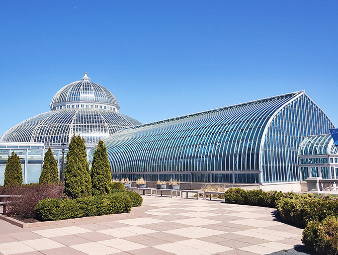Pit stop in paradise! Trade exhaust fumes for exotic blooms at this glass-enclosed oasis.