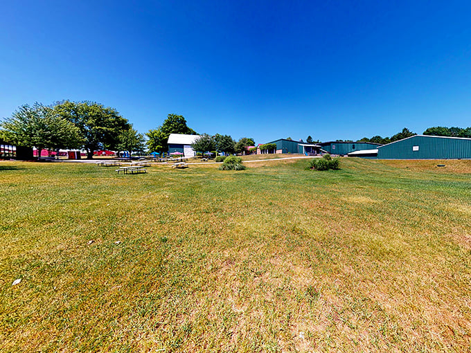 Fenn Valley: Where barns meet bottles. It's like Old MacDonald decided to get into the wine business &ndash; and nailed it.