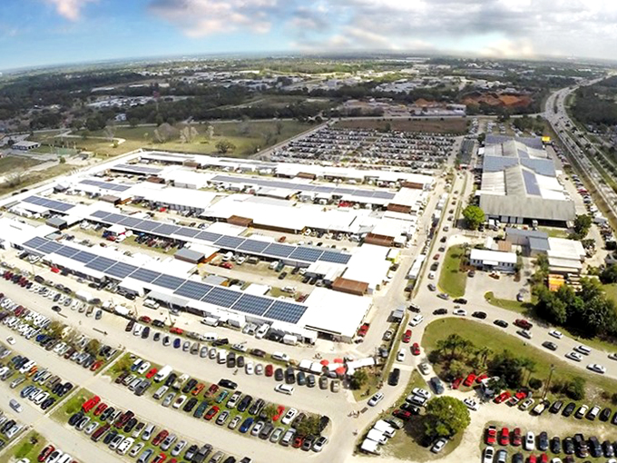 Welcome to the Colosseum of collectibles! Here, gladiators of thrift battle for the best bargains.