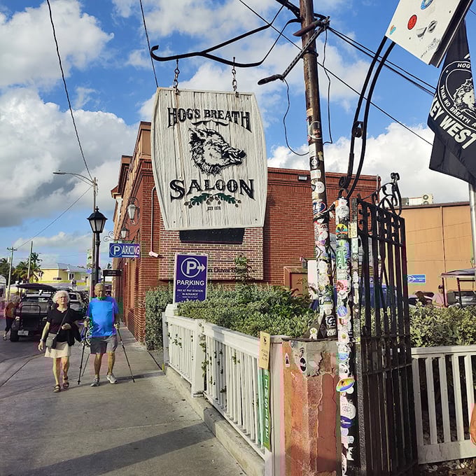 Hog's Breath Saloon: Where the motto is questionable, but the good times are guaranteed. Key West's worst-kept secret!