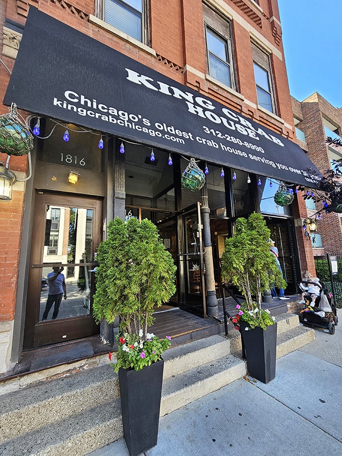 King Crab House Chicago: Where seafood reigns supreme and every meal feels like a coronation. All hail the mighty lobster roll!