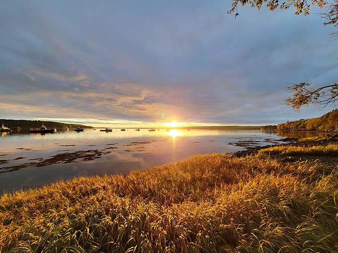 Nature's own zen garden. Skipping stones optional, but highly recommended.