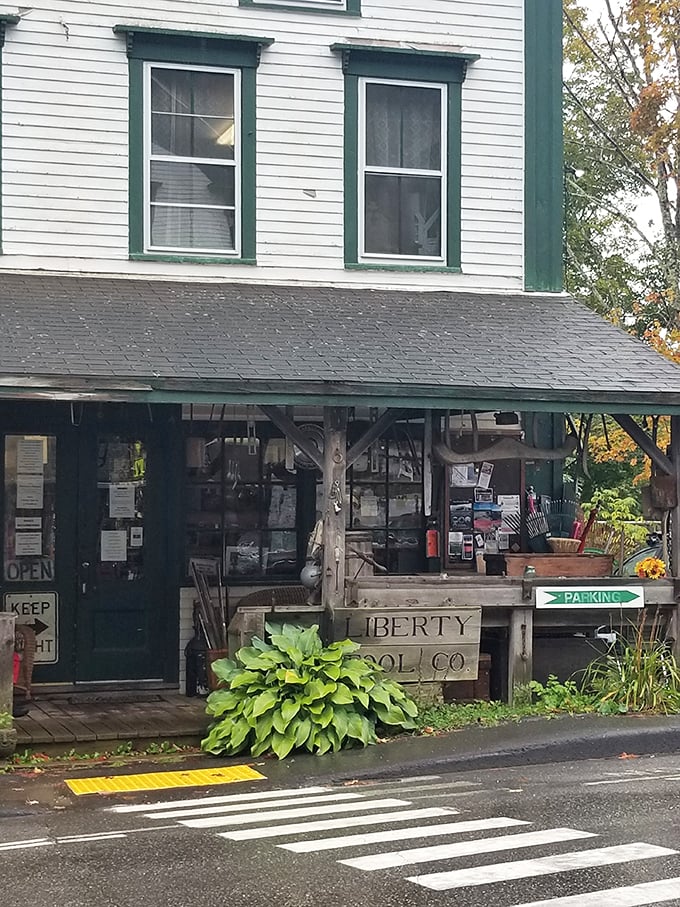 Tools, trinkets, and treasures, oh my! It's like your grandpa's workshop exploded into a wonderland of nostalgia.