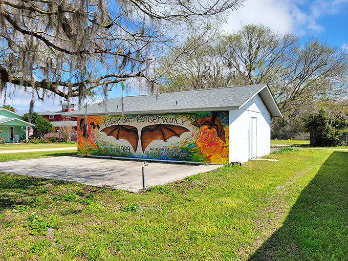 Bat cave? More like bat mansion! These fruit bats are living their best upside-down life.