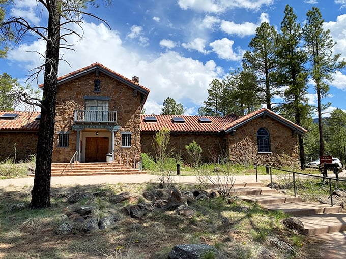 "Time travel, Arizona style! From dinosaurs to native art, it's a Grand Canyon-sized journey through history."