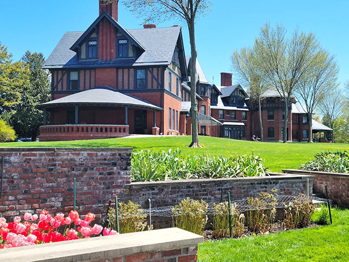 Pit stop with panache: Where road trip snacks get a gourmet upgrade.