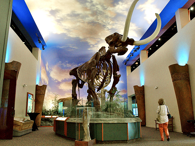 Part planetarium, part prehistoric playground &ndash; The Bishop proves Florida's got more than just beaches and gators!