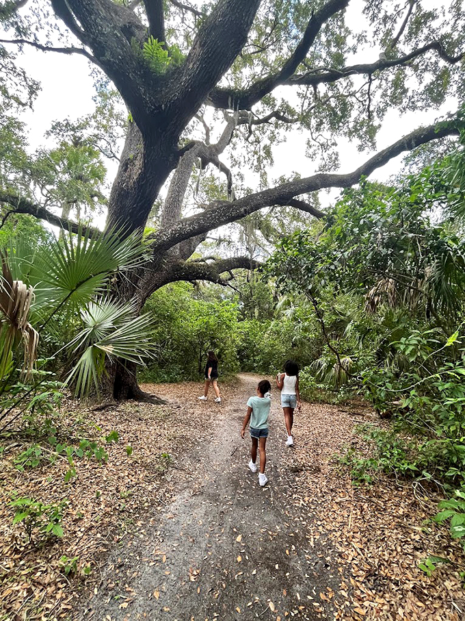 The Devil's Tree: Nature's own haunted house, where even the bravest arborists fear to tread.