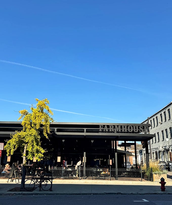 Sleek exterior, cozy interior, and wings that'll make you want to move to Burlington permanently.