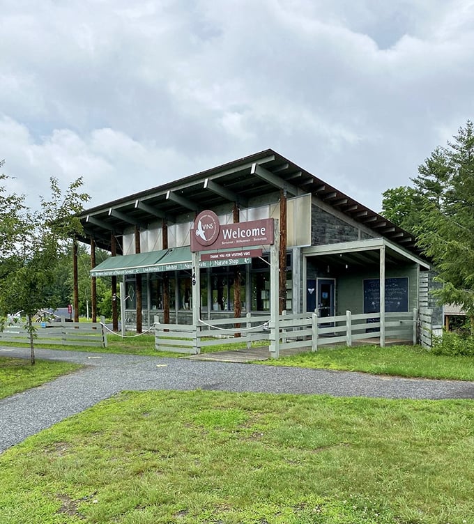 Flock to this feathered paradise! VINS is where the road to recovery and the path of discovery intersect.