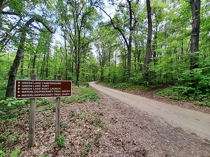 Waterloo's watery wonders! This expansive park boasts enough lakes to satisfy even the most enthusiastic water bug's aquatic cravings.