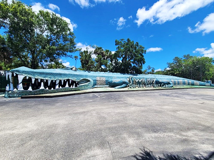 Meet Swampy, the concrete colossus making Godzilla look like a gecko. In Christmas, Florida, even the statues have big teeth.