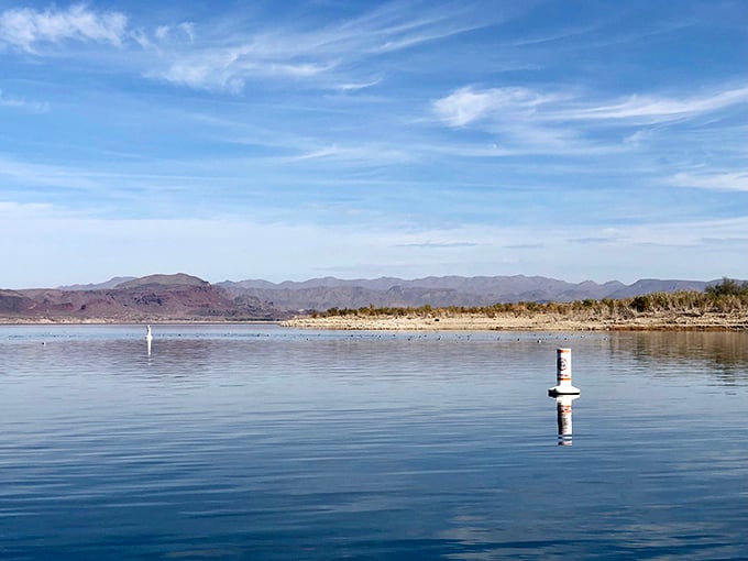 Nighttime here is like someone flipped the switch on the universe's biggest disco ball.