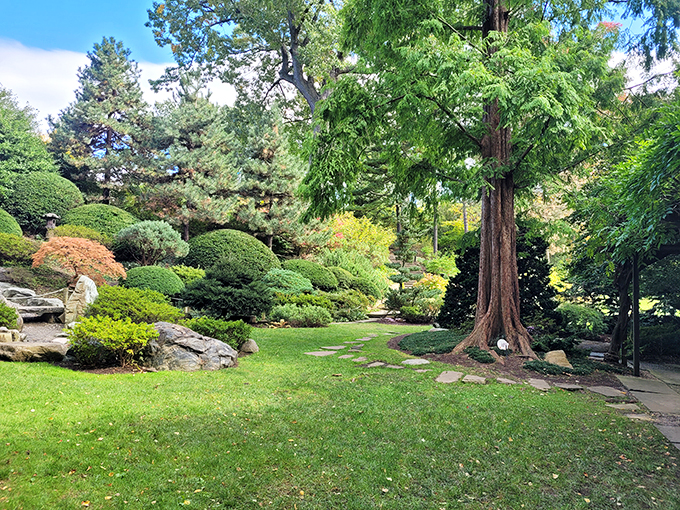 Cruise control to Costa Rica... or Madagascar? This botanical crossroads is the ultimate scenic route.