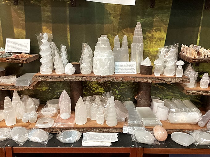 Part rock concert, part science class, it's where geology gets groovy and learning feels like a party.