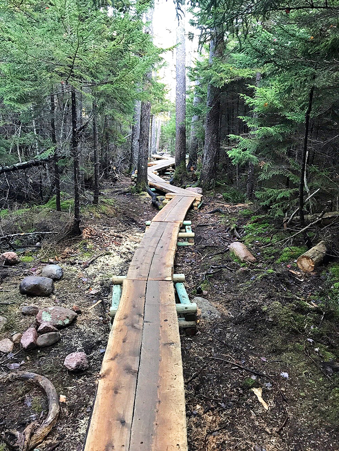 Road trip tip: Pack extra memory cards. These views are too good not to capture.